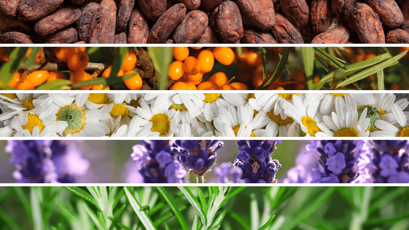 OUR STANDARDS - Mineral Energy Natural Products